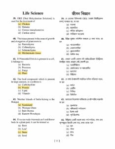 📝 NMMS Question Paper With Answer – Download Free PDF & Practice For ...