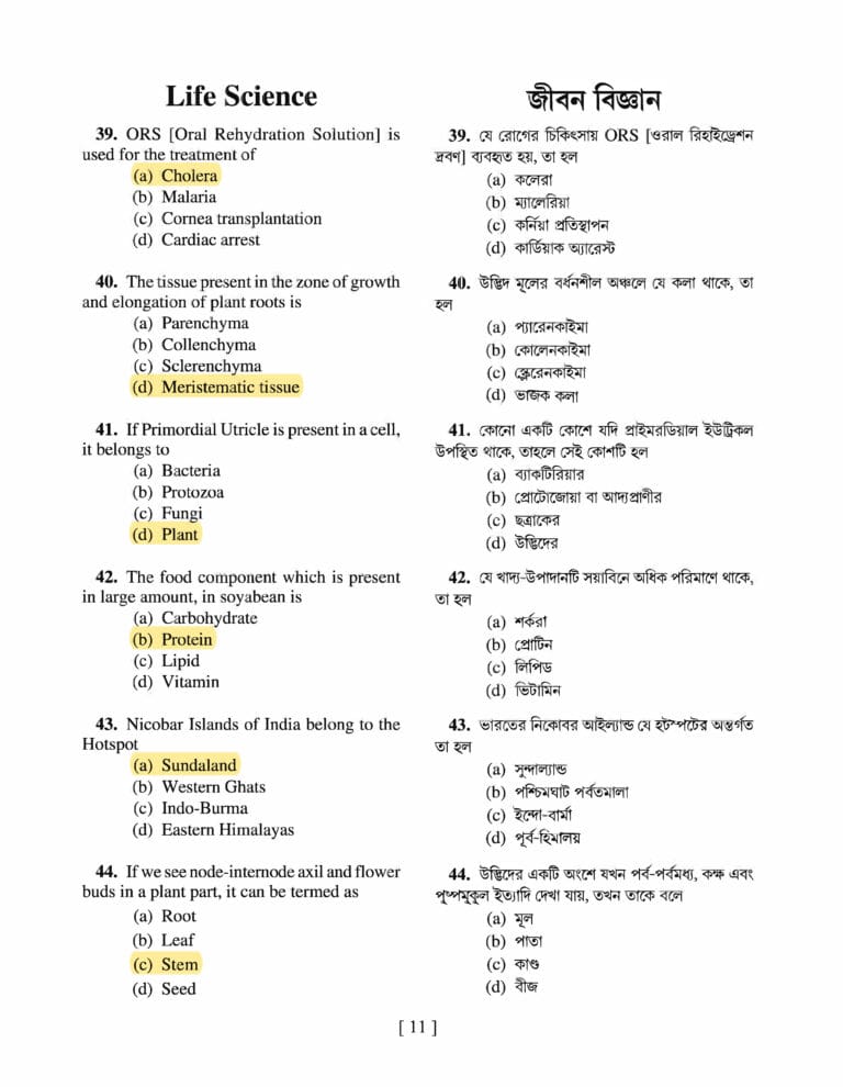 📝 NMMS Question Paper With Answer – Download Free PDF & Practice For ...